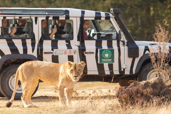 Thoiry ZooSafari, un voyage inoubliable à 45mn de Paris